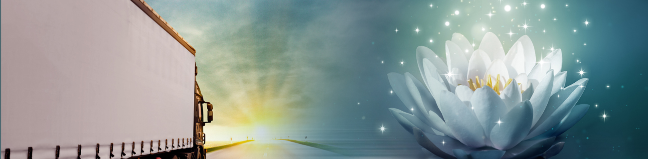 Bloom Logistics | About Us